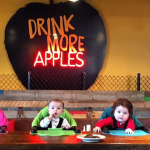 Perch Hanging High Chair - Best Baby Feeding High Chair | Guzzie+Guss